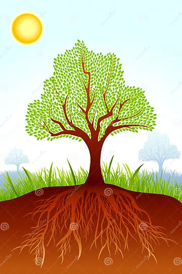 Tree with Sand stock vector. Illustration of green, park - 30983766