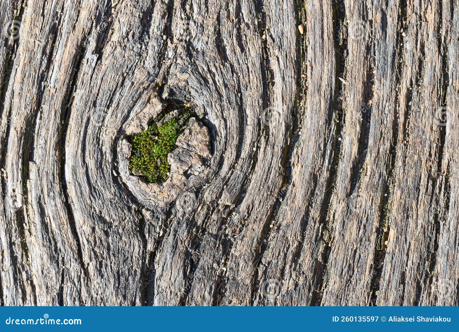 Closeup Knothole Vintage Wood Plank Floor Barn Desk Royalty-Free Stock ...