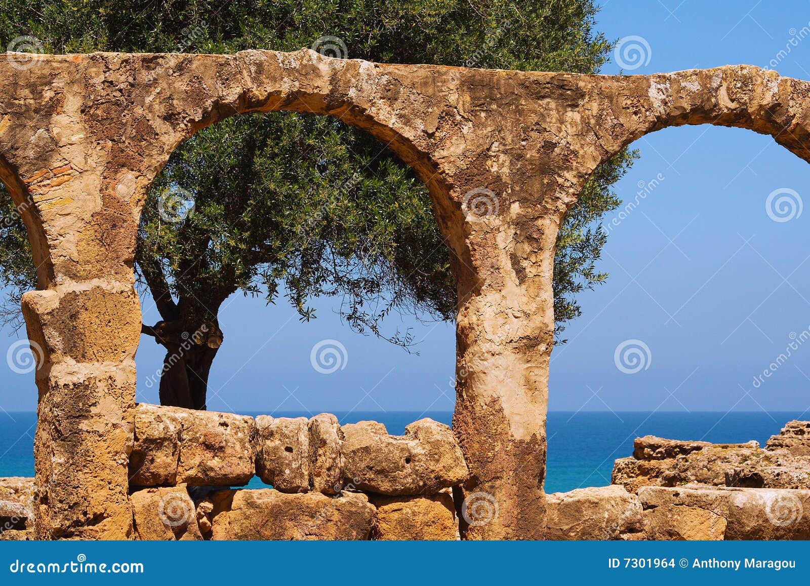 Tree and Sea through the Arches Stock Photo - Image of africa ...
