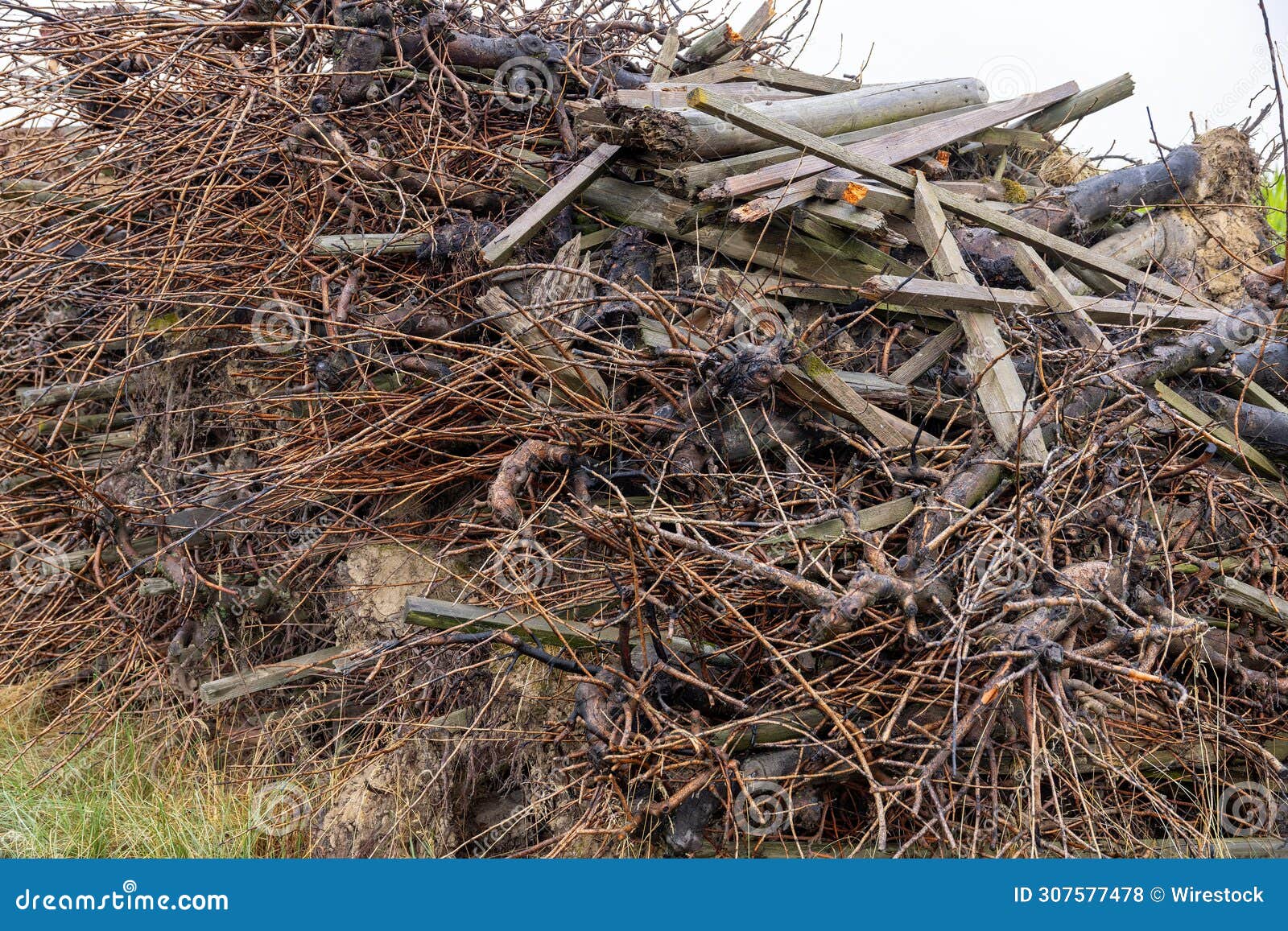 Tree Sections, Plant Waste and Wood in Pile Stock Photo - Image of ...