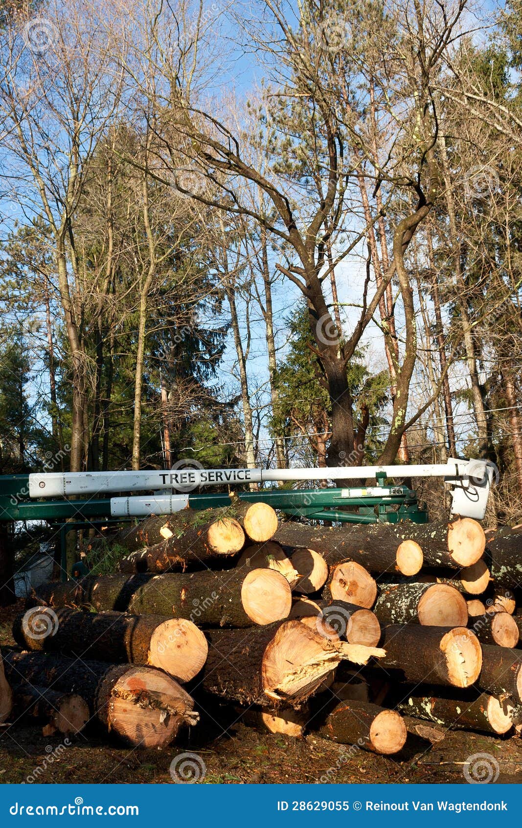 Tree service truck stock image. Image of arborists, round - 28629055