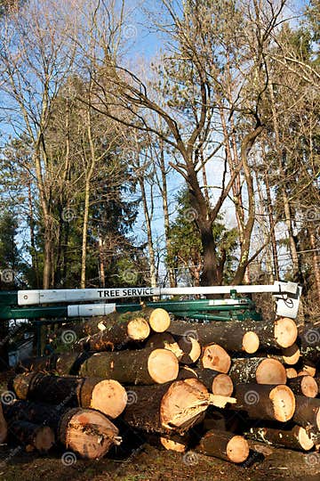 Tree service truck stock image. Image of arborists, round - 28629055