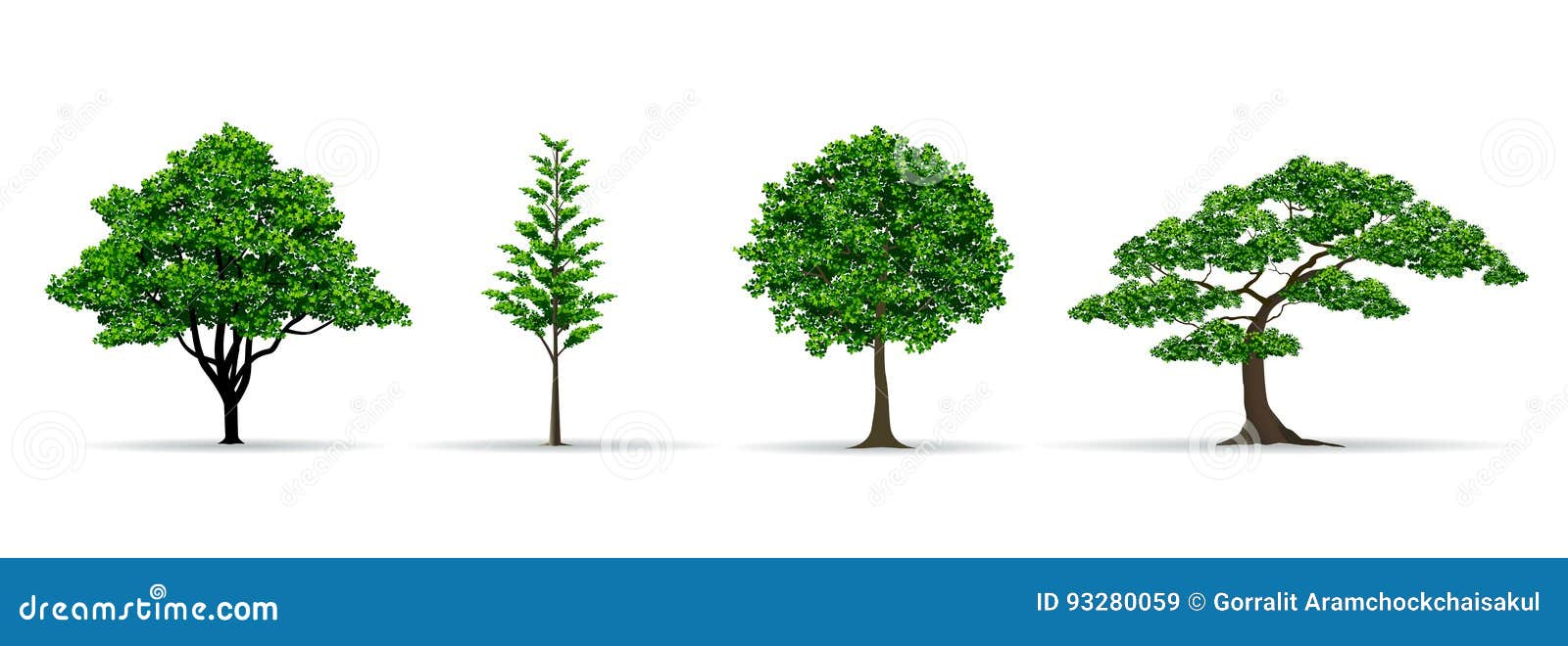 Tree Set Realistic Vector Illustration Stock Vector - Illustration of ...