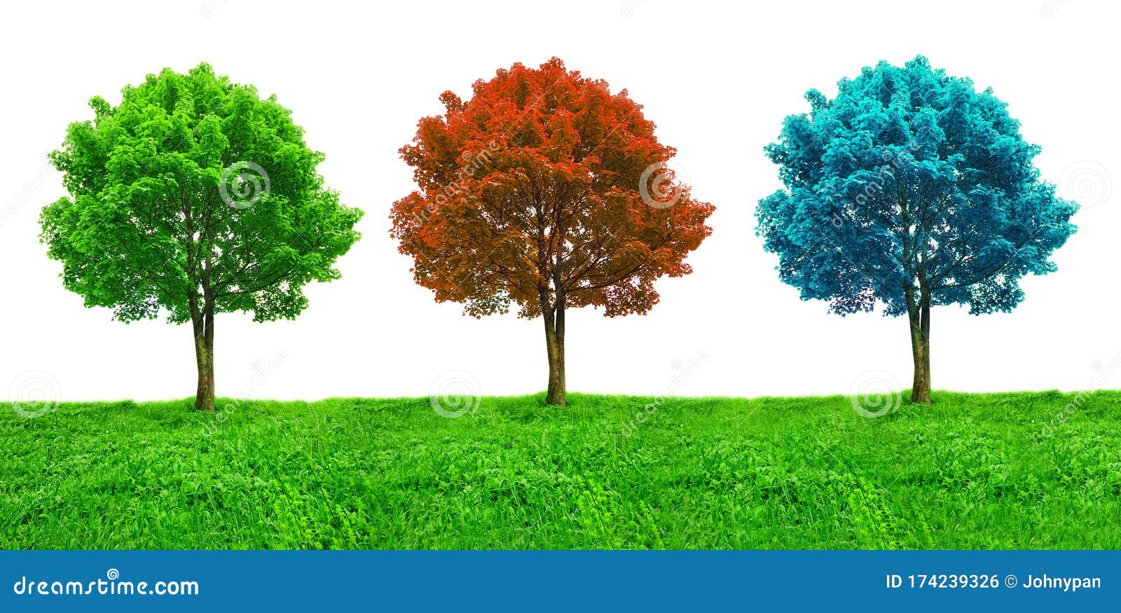 Tree Set in Red, Green and Blue Colors Stock Photo - Image of botany ...