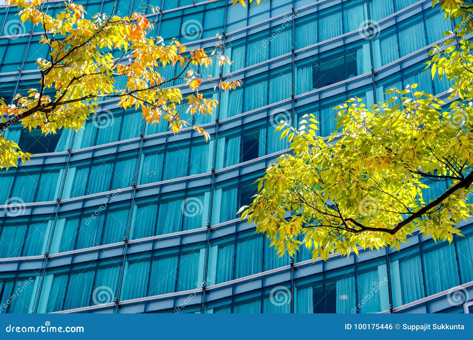 Tree Shade and Building in Business Zone Stock Photo - Image of bench ...