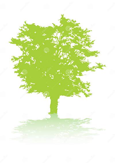 Tree with shadow stock vector. Illustration of planet - 1967290