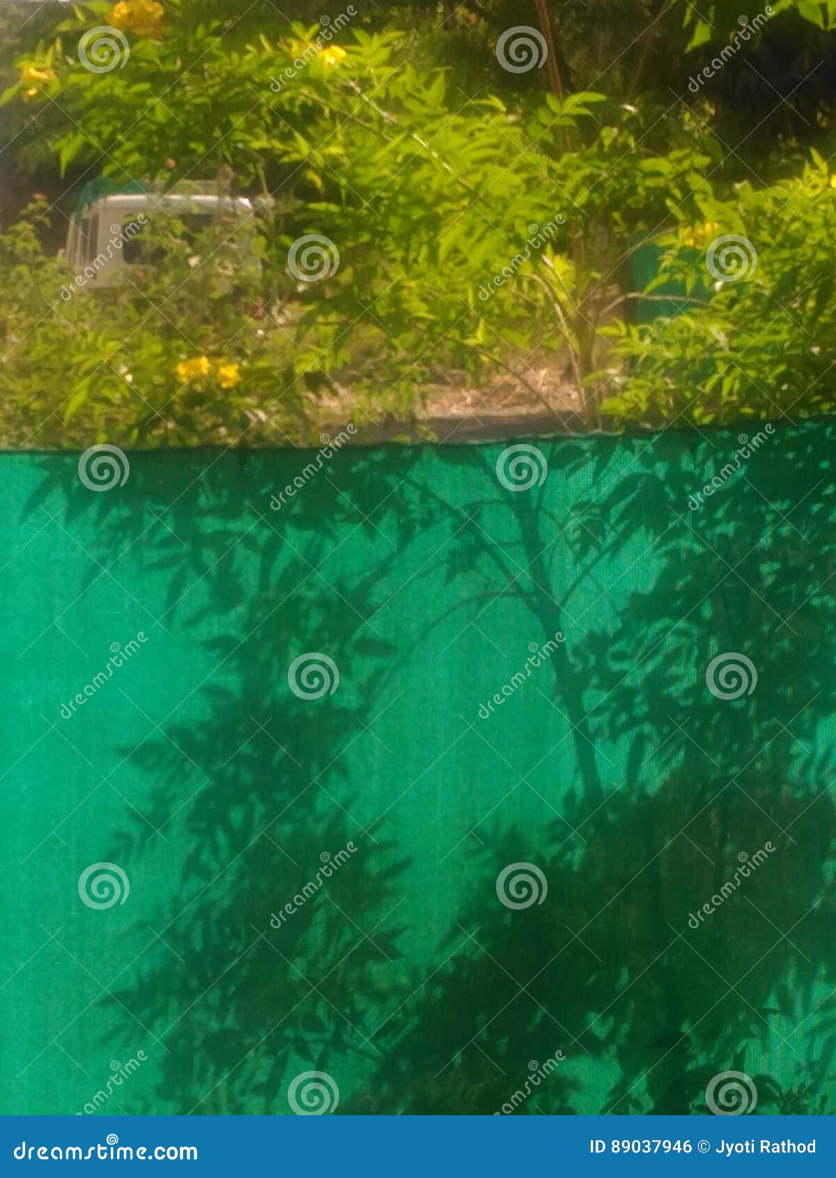 Tree shadow stock photo. Image of green, shadow, tree - 89037946