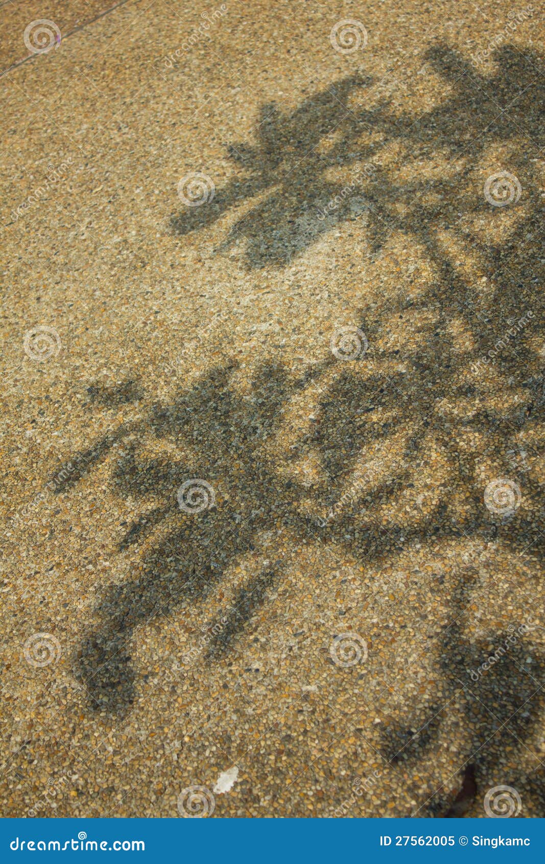 Tree shadow background stock image. Image of backyard - 27562005