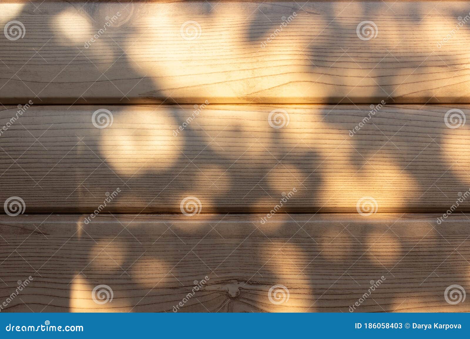 Tree Shadow Background and Natural Leaves on Branch and Tree Trunk ...