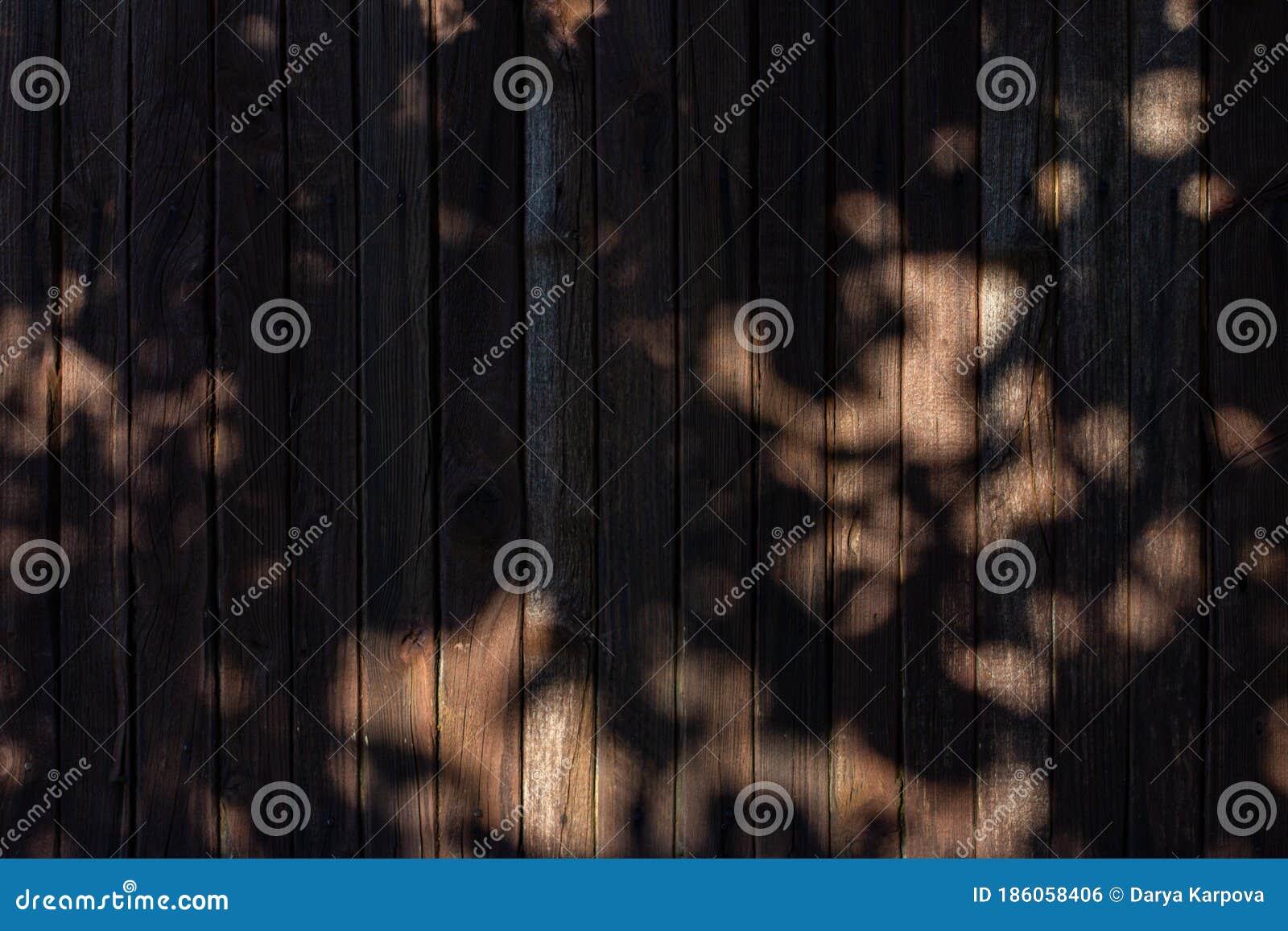 Tree Shadow Background and Natural Leaves on Branch and Tree Trunk ...