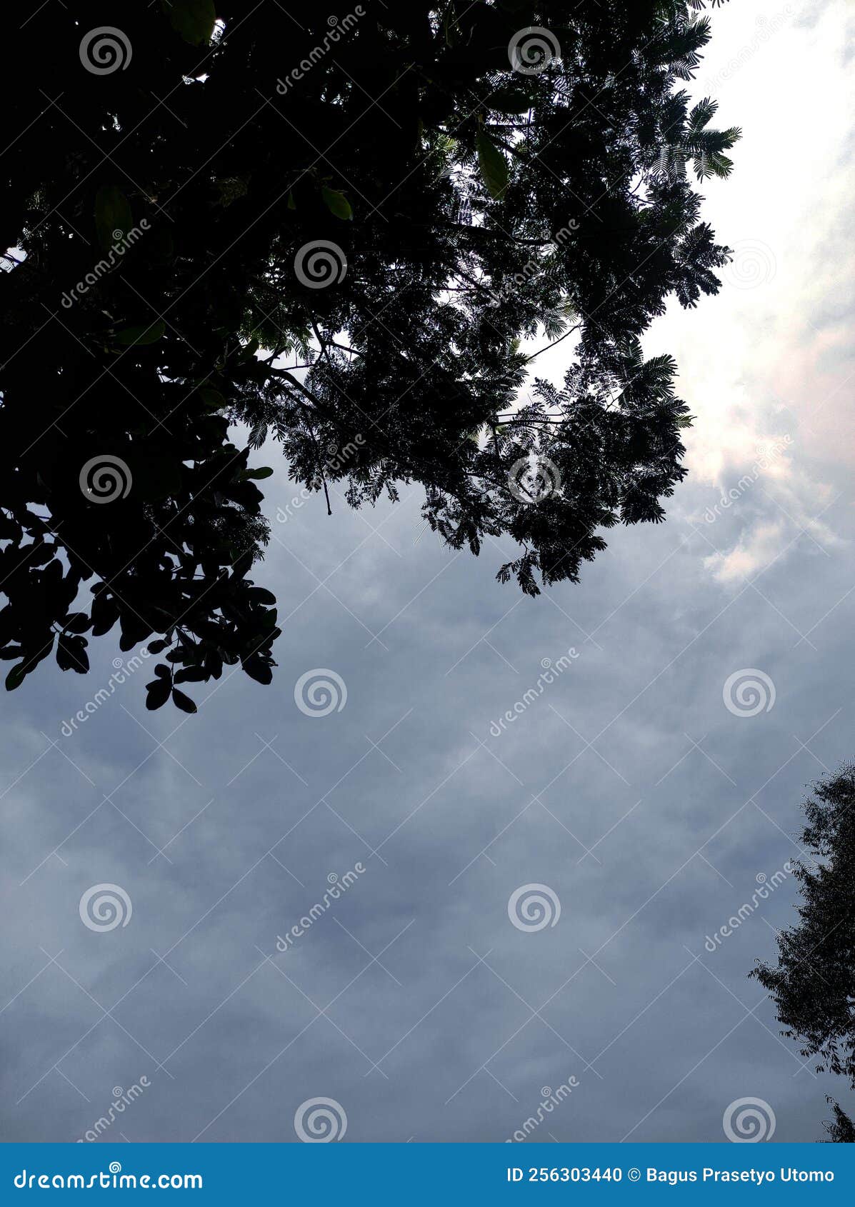 Tree Shadow with Beautiful Sky Suitable for Industrial Background Stock ...