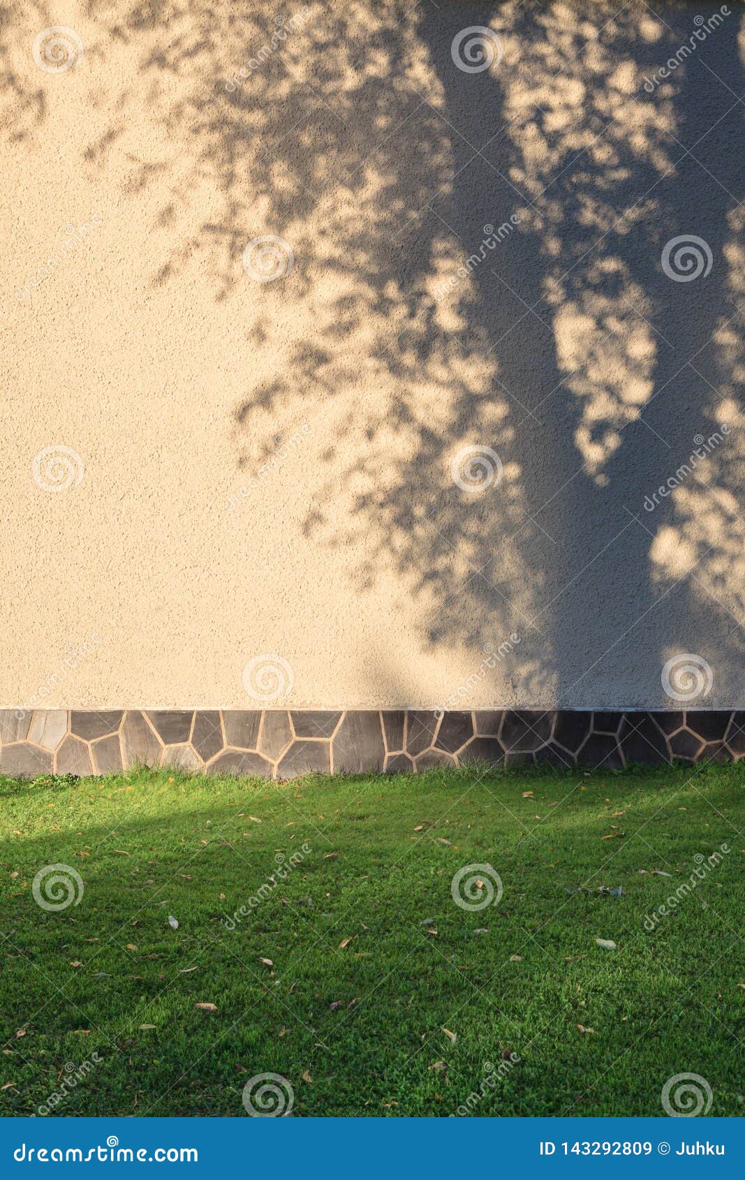 Tree Shadow in Building Wall Stock Image - Image of wall, grass: 143292809