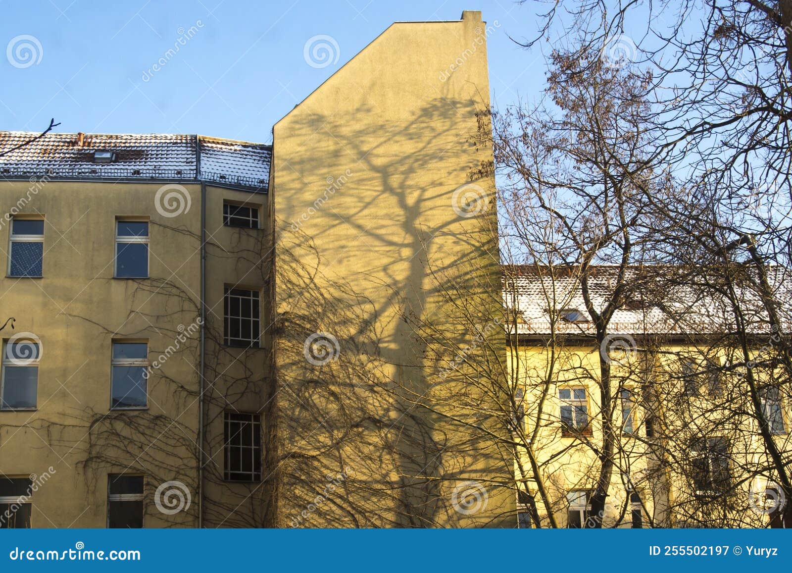 Tree Shadow on Building Wall Stock Image - Image of landscape, building ...