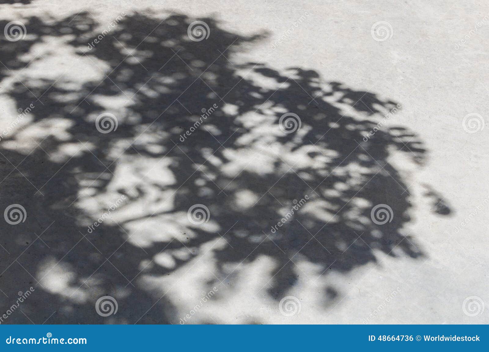 Tree shadow stock photo. Image of effect, exterior, tropical - 48664736