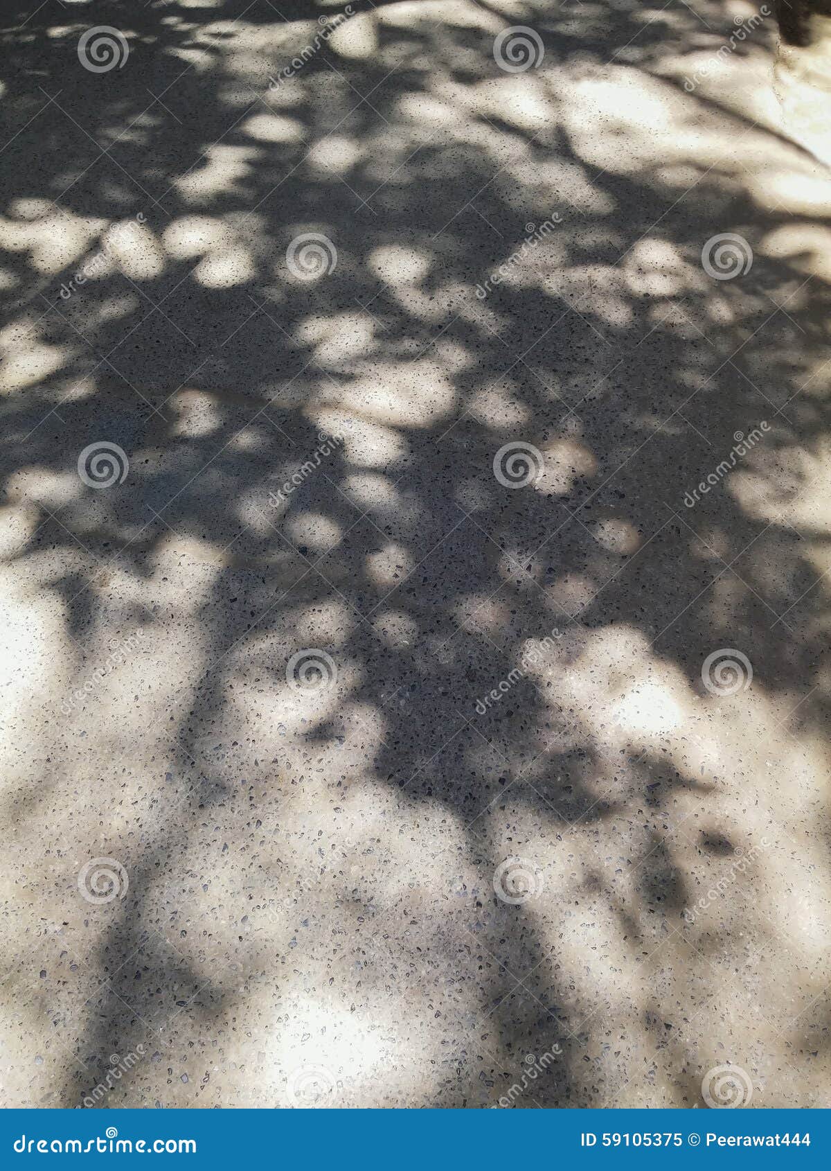 Tree shadow stock image. Image of pattern, proximity - 59105375