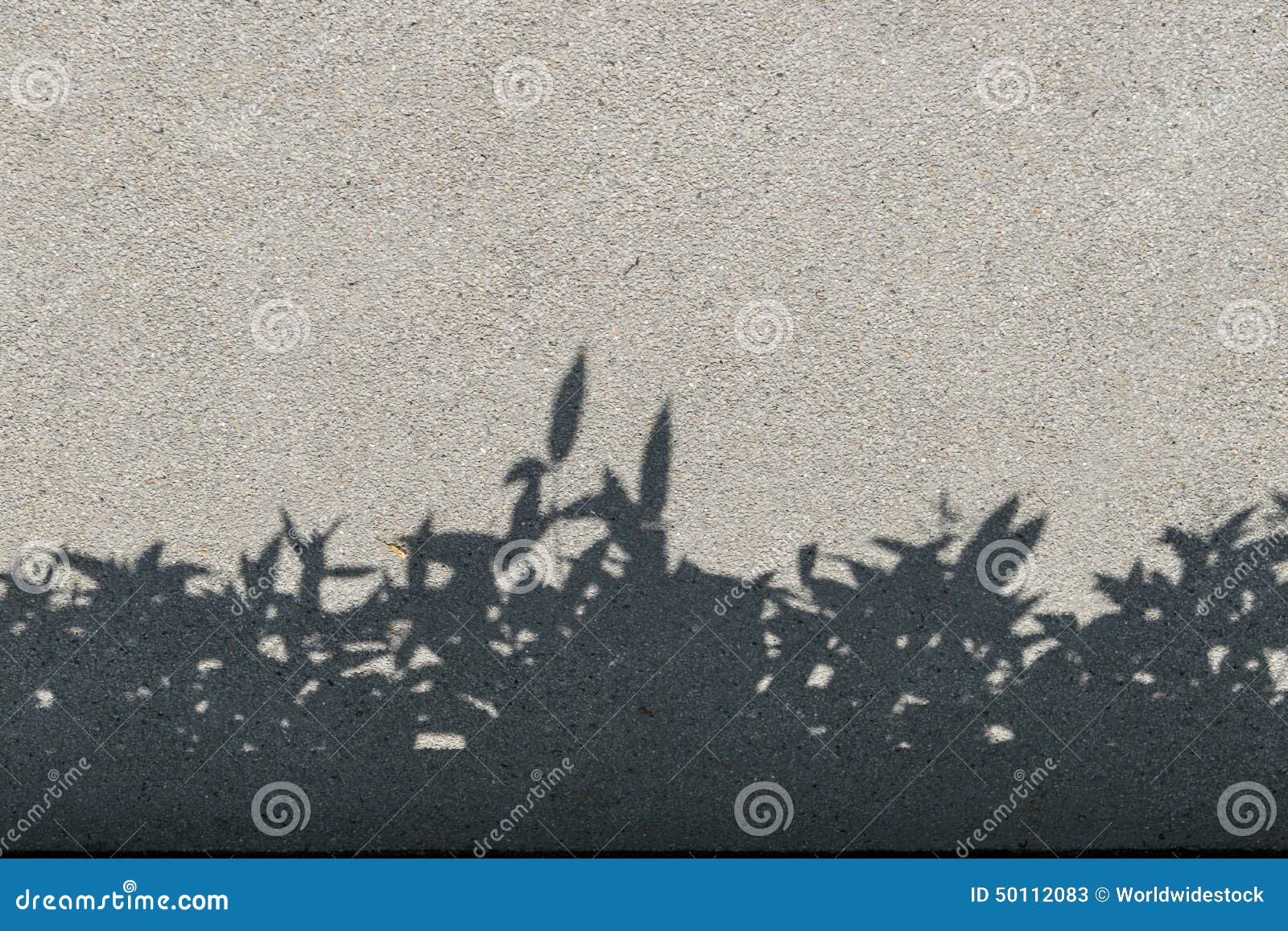 Tree Shadow on Gravel Texture Stock Image - Image of grass, garden ...