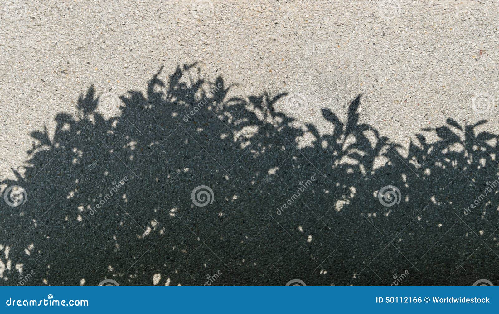 Tree Shadow on Gravel Texture Stock Photo - Image of floor, background ...