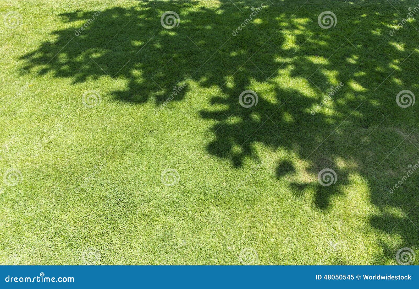 Tree shadow stock image. Image of sunny, branch, effect - 48050545
