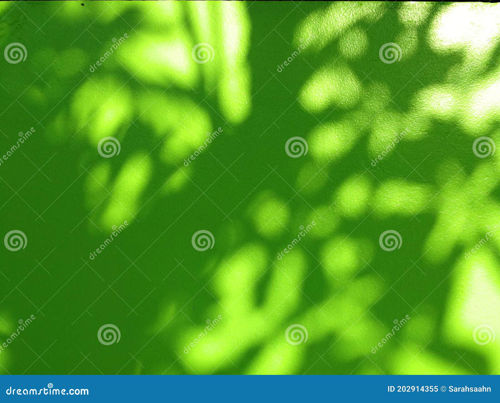 Tree Shadow on Green Wall Background. Copy Space on the Wall. Stock ...