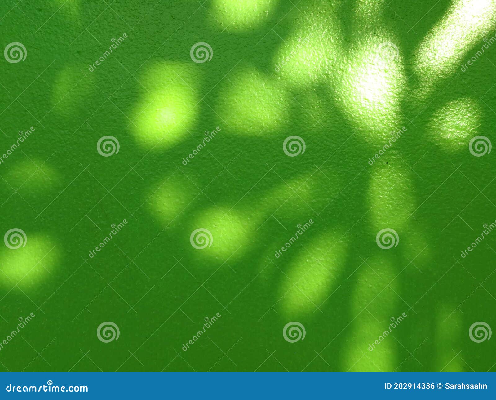 Tree Shadow on Green Wall Background. Copy Space on the Wall. Stock ...