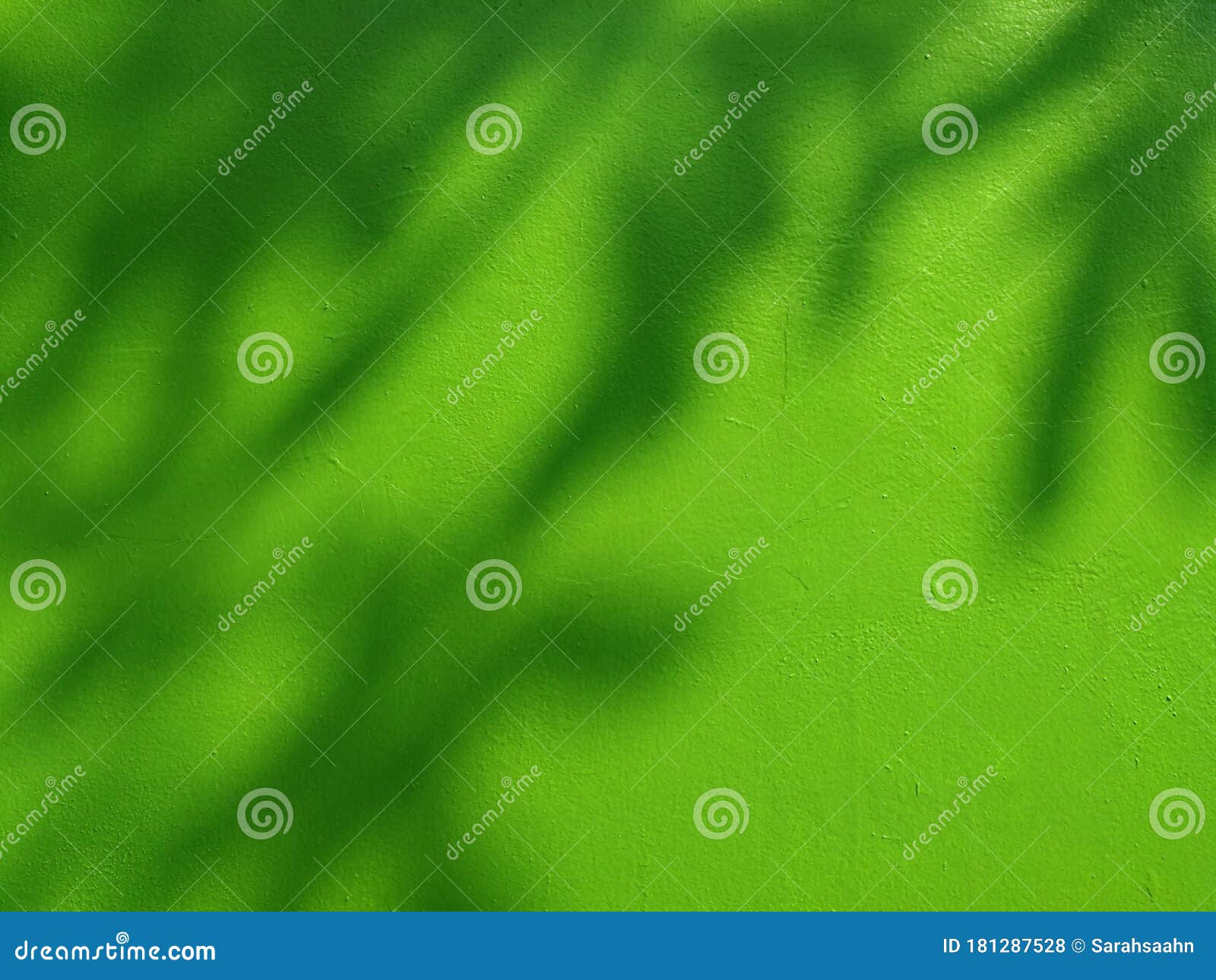 Tree Shadow on Green Wall Background and Copy Space for Your Work ...