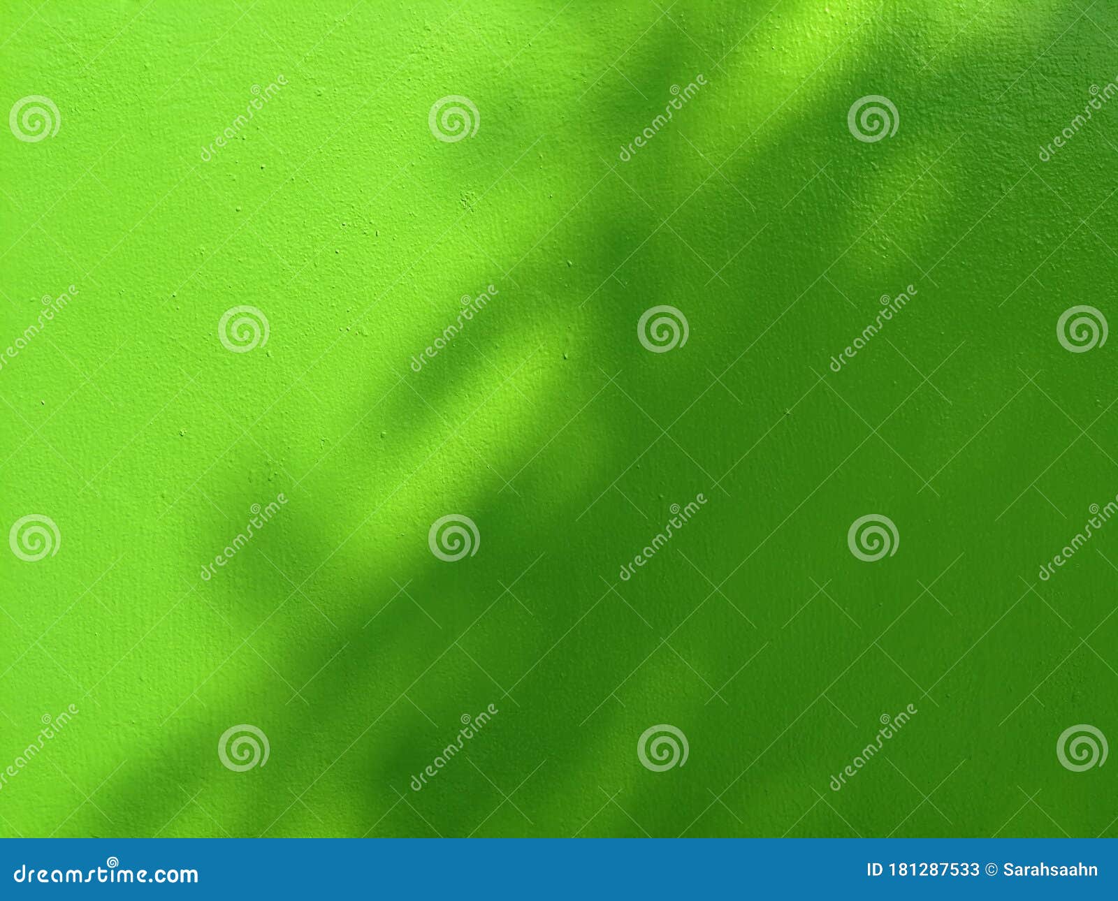 Tree Shadow on Green Wall Background and Copy Space for Your Work ...