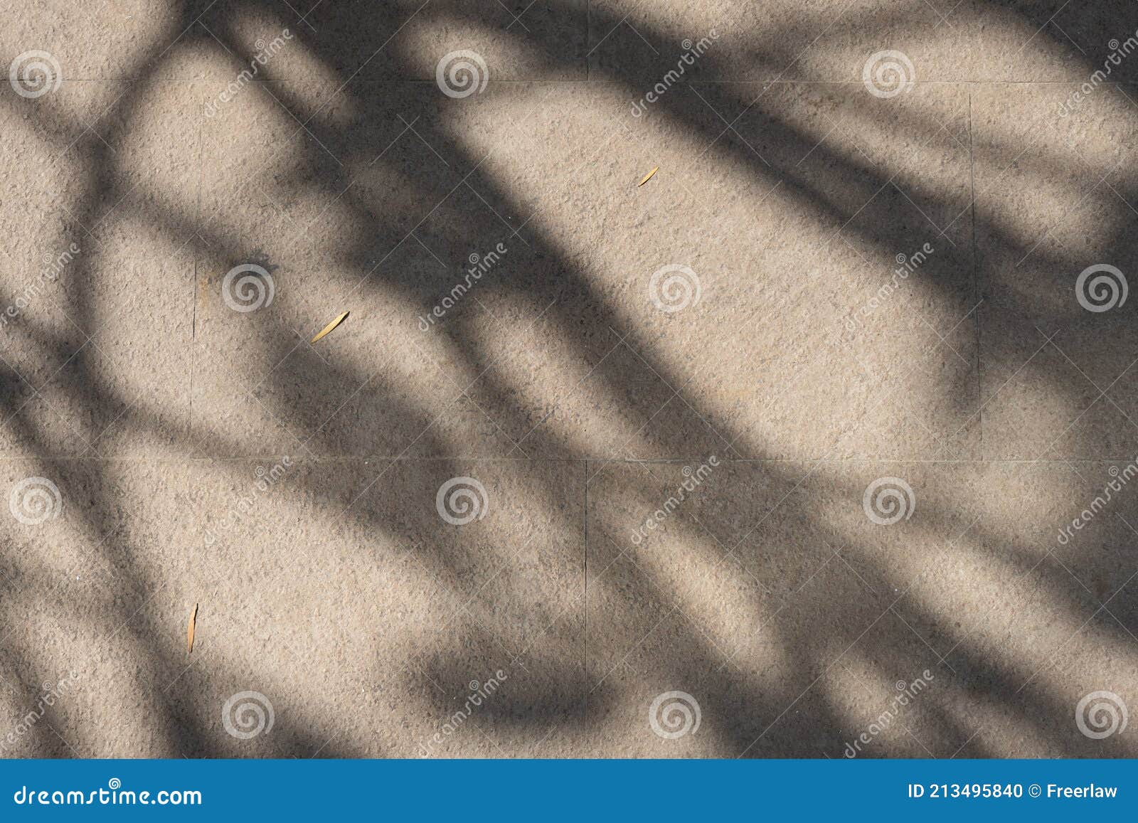 Tree shadow on the ground stock photo. Image of leaves - 213495840
