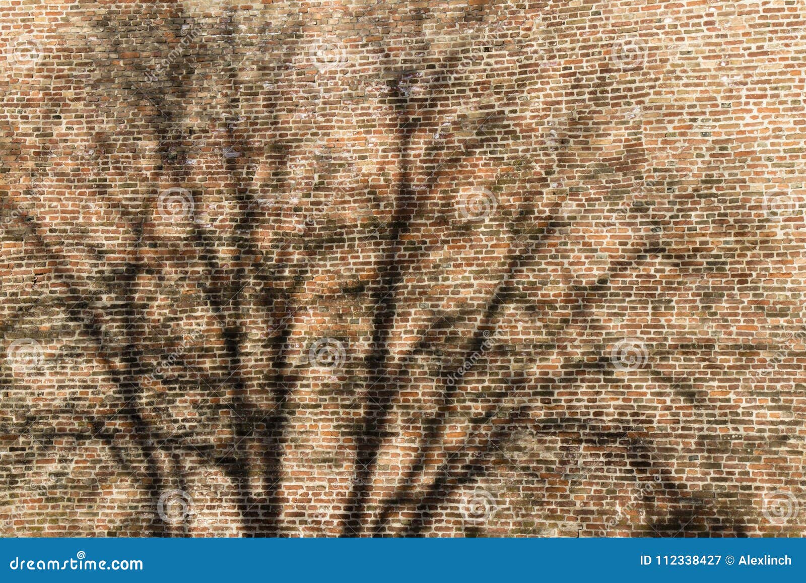 Tree Shadow on Red Brick Wall Stock Image - Image of architecture ...