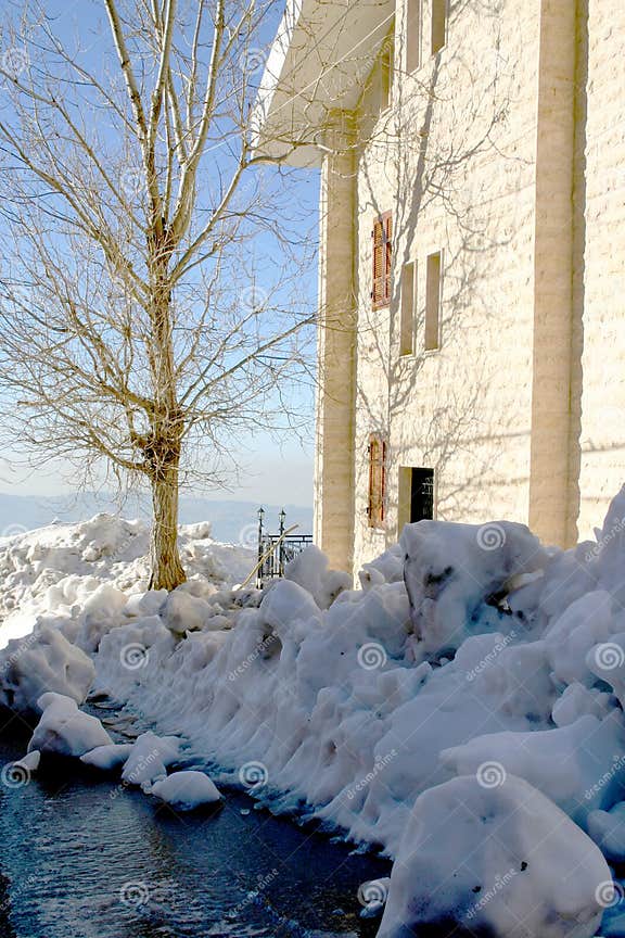 Tree Shadow on House stock photo. Image of broken, creeping - 66284034