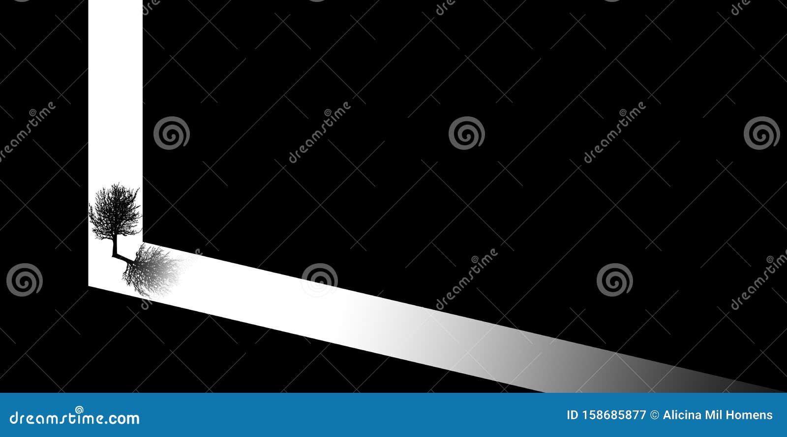 Tree and Shadow Illustration in Black and White Stock Illustration ...