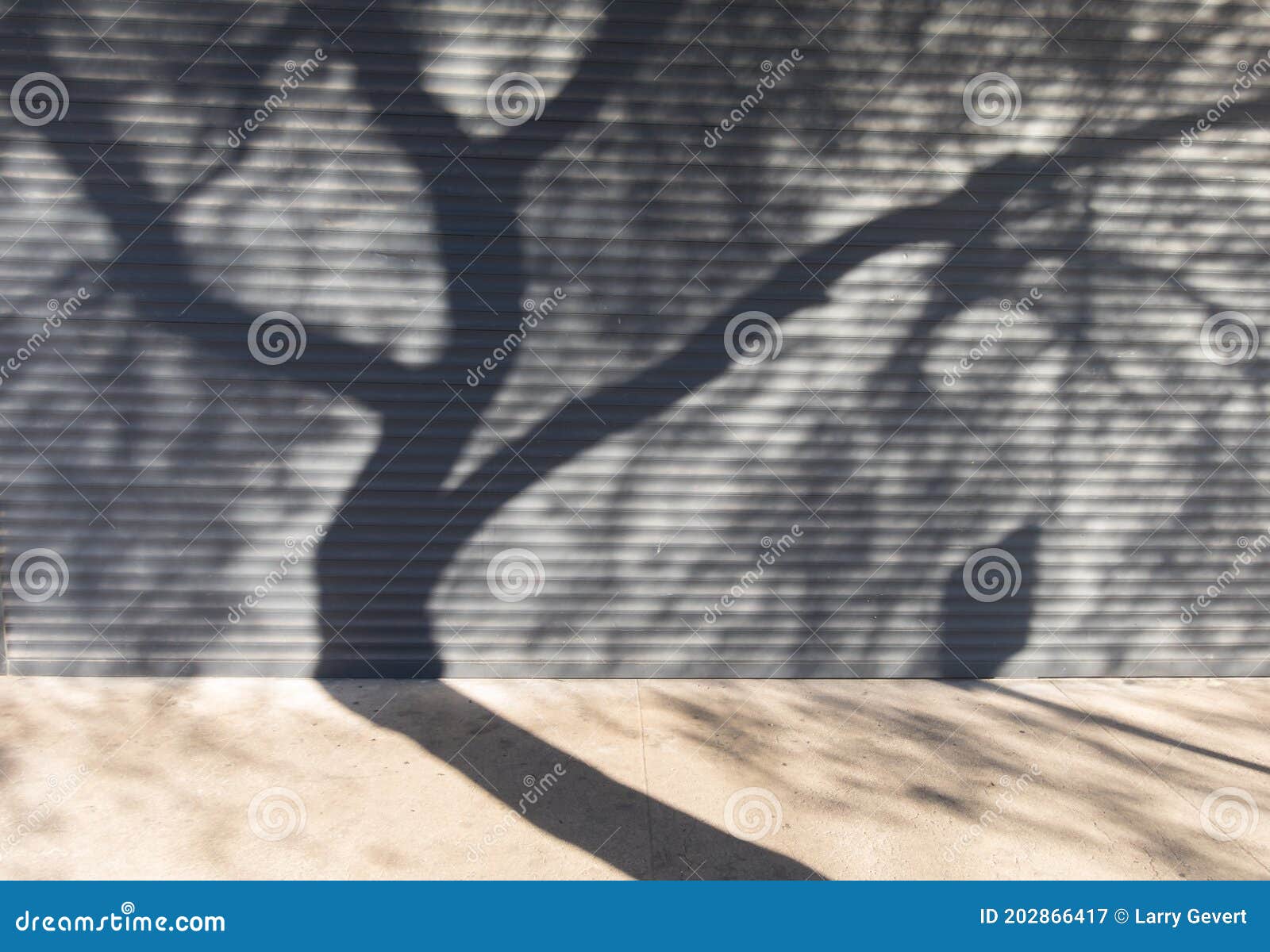 Tree Shadow on Large Overhead Door Stock Image - Image of abstract ...