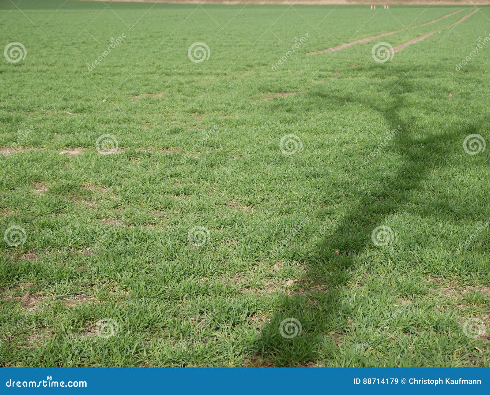 Tree shadow on lawn stock image. Image of grass, track - 88714179