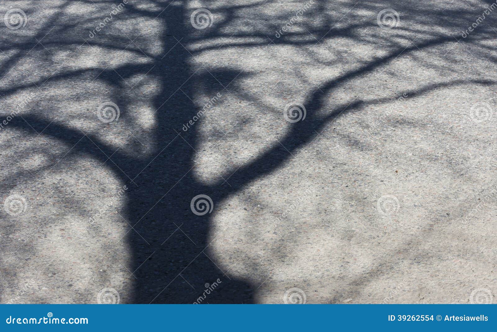 Tree shadow left stock photo. Image of concrete, shadows - 39262554