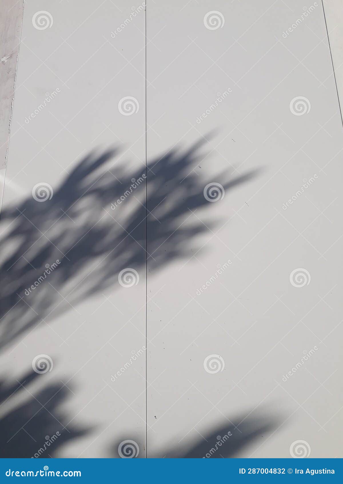 Tree Shadow in the Morning on the Wall Stock Photo - Image of tree ...