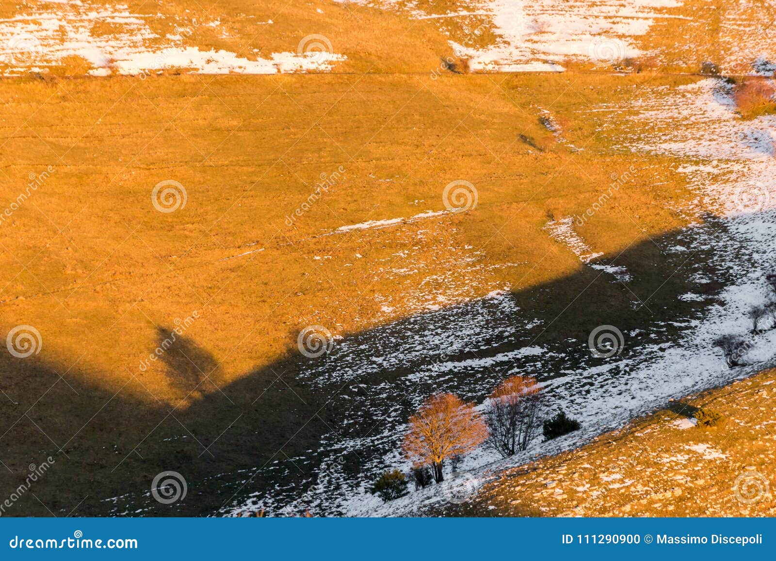 Tree Shadow on a Mountain with Melting Snow, with Warm Sunset Colors ...