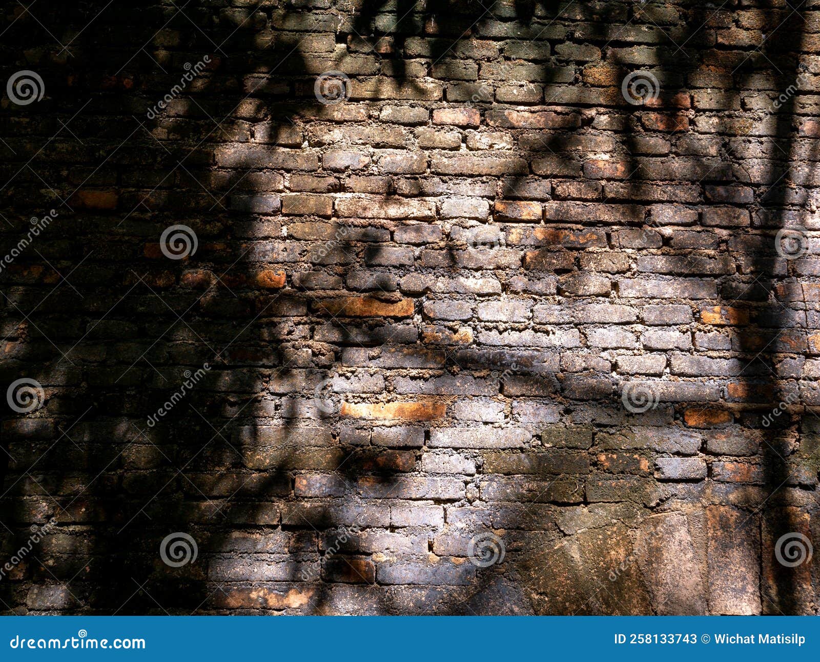 Tree Shadow on the Old Brick Wall Stock Image - Image of natural ...