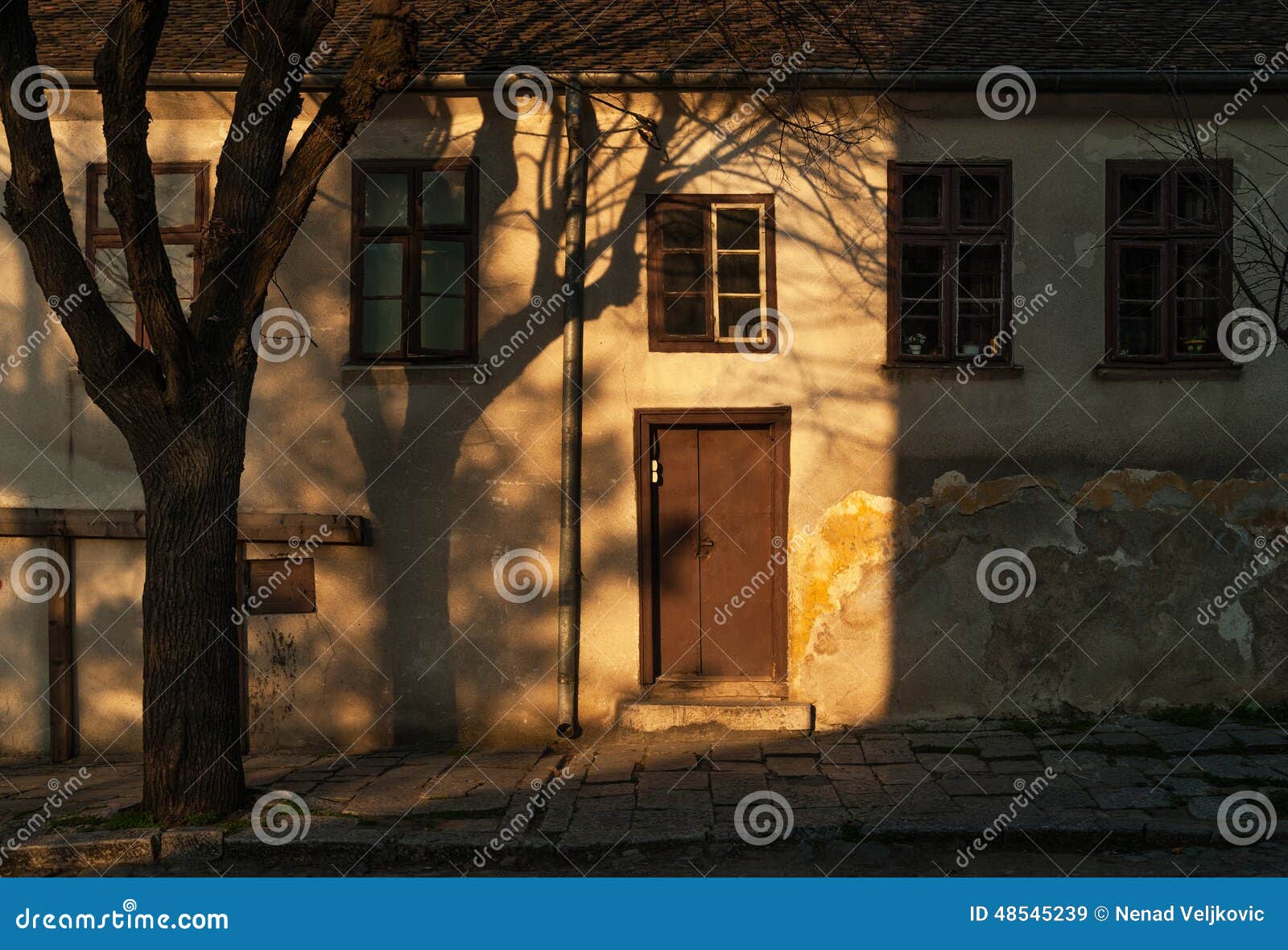Tree shadow on old house stock image. Image of focus - 48545239