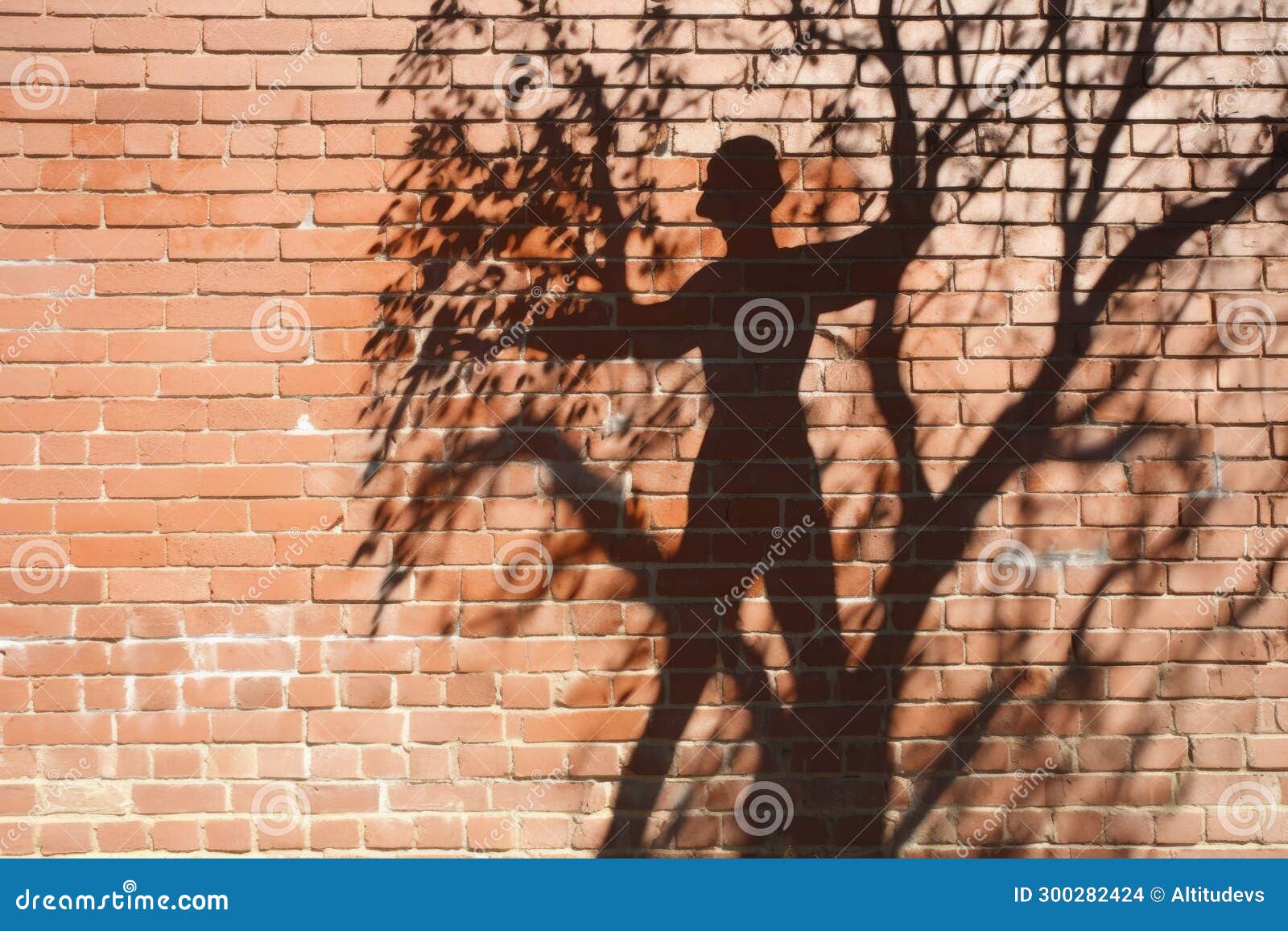 A Tree Shadow Puppet on a Textured Brick Wall Stock Photo - Image of ...