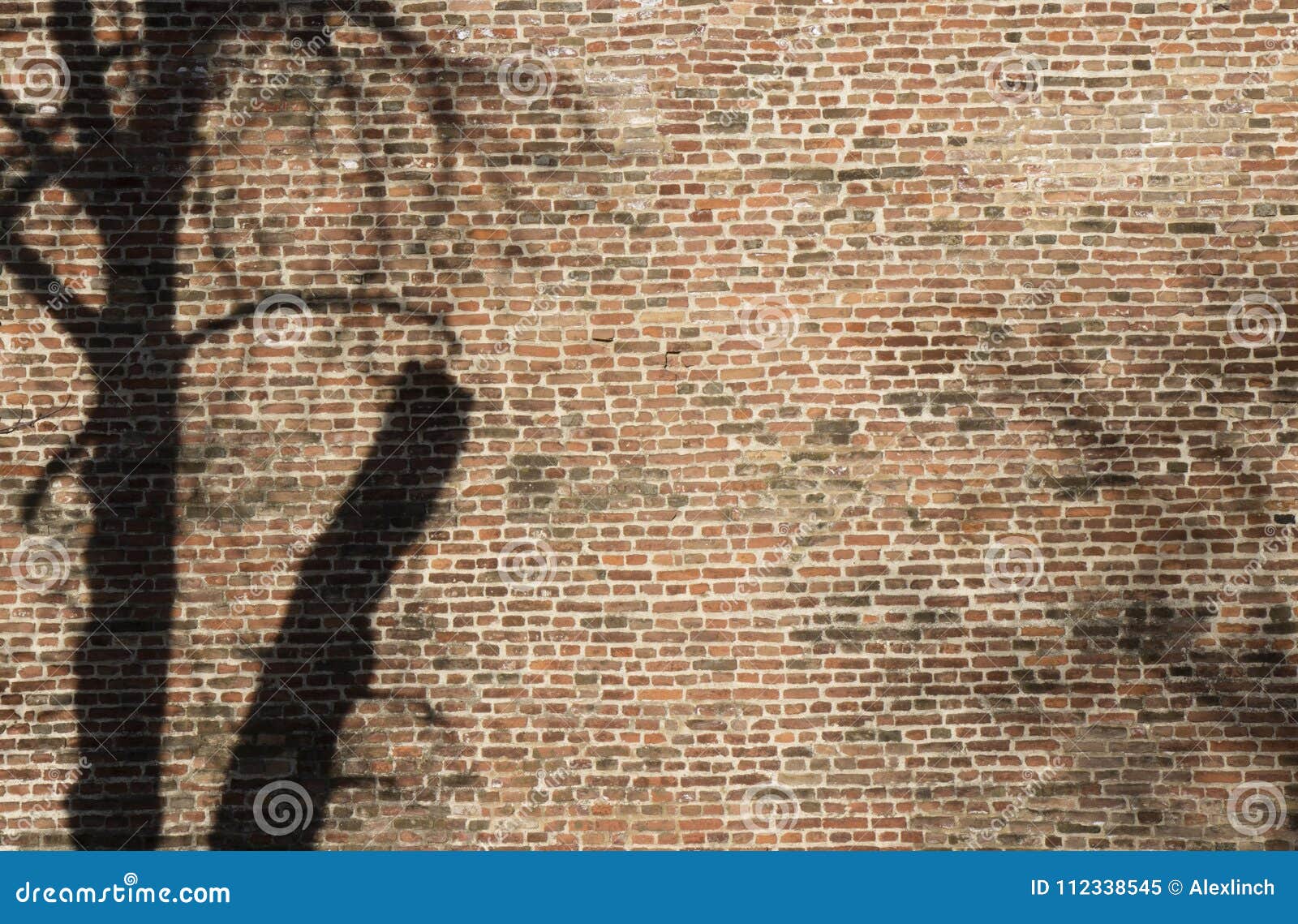 Tree Shadow on Red Brick Wall Stock Image - Image of building, sunny ...
