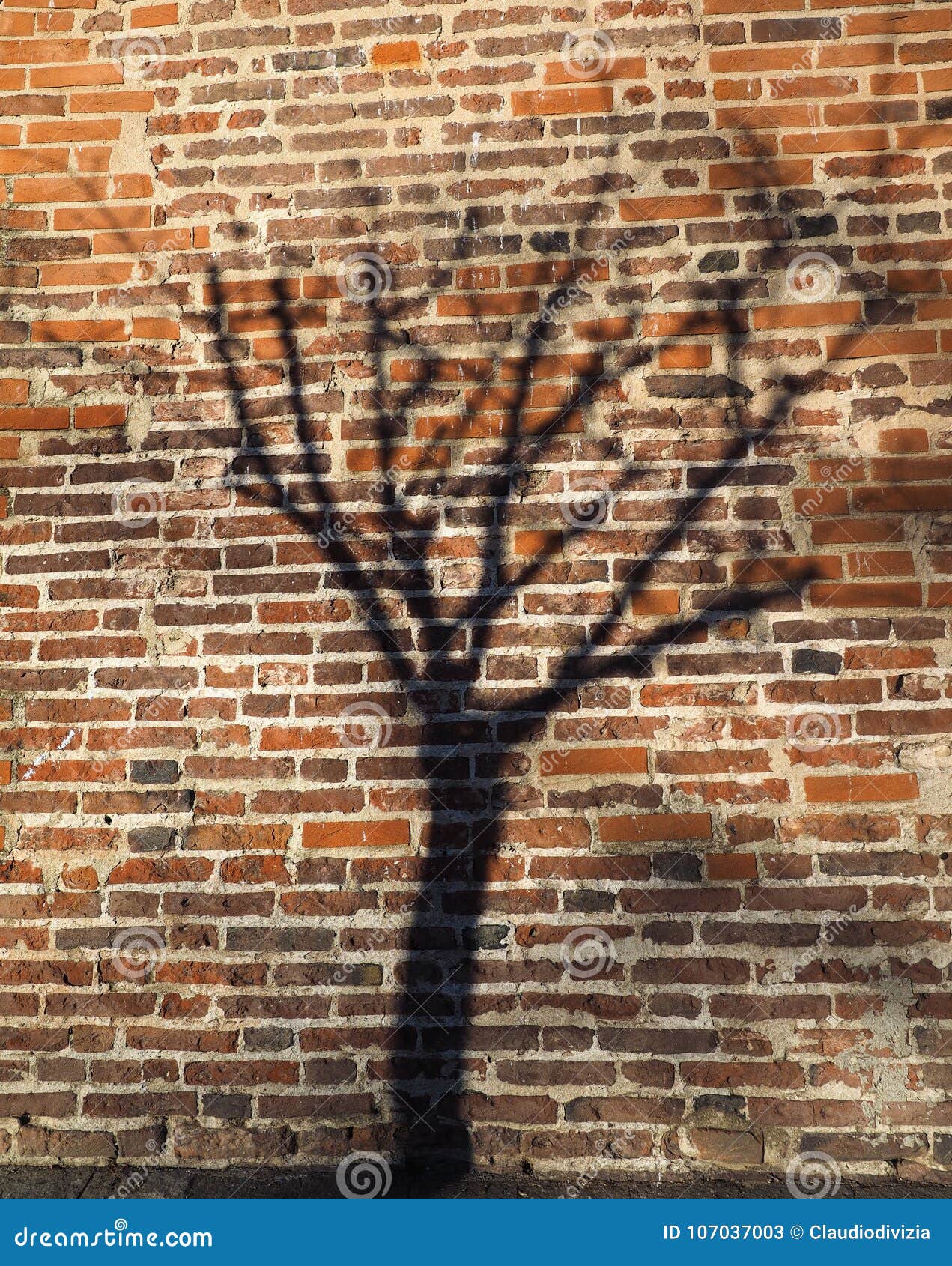 Tree Shadow on Red Brick Wall Stock Image - Image of texture, shadow ...