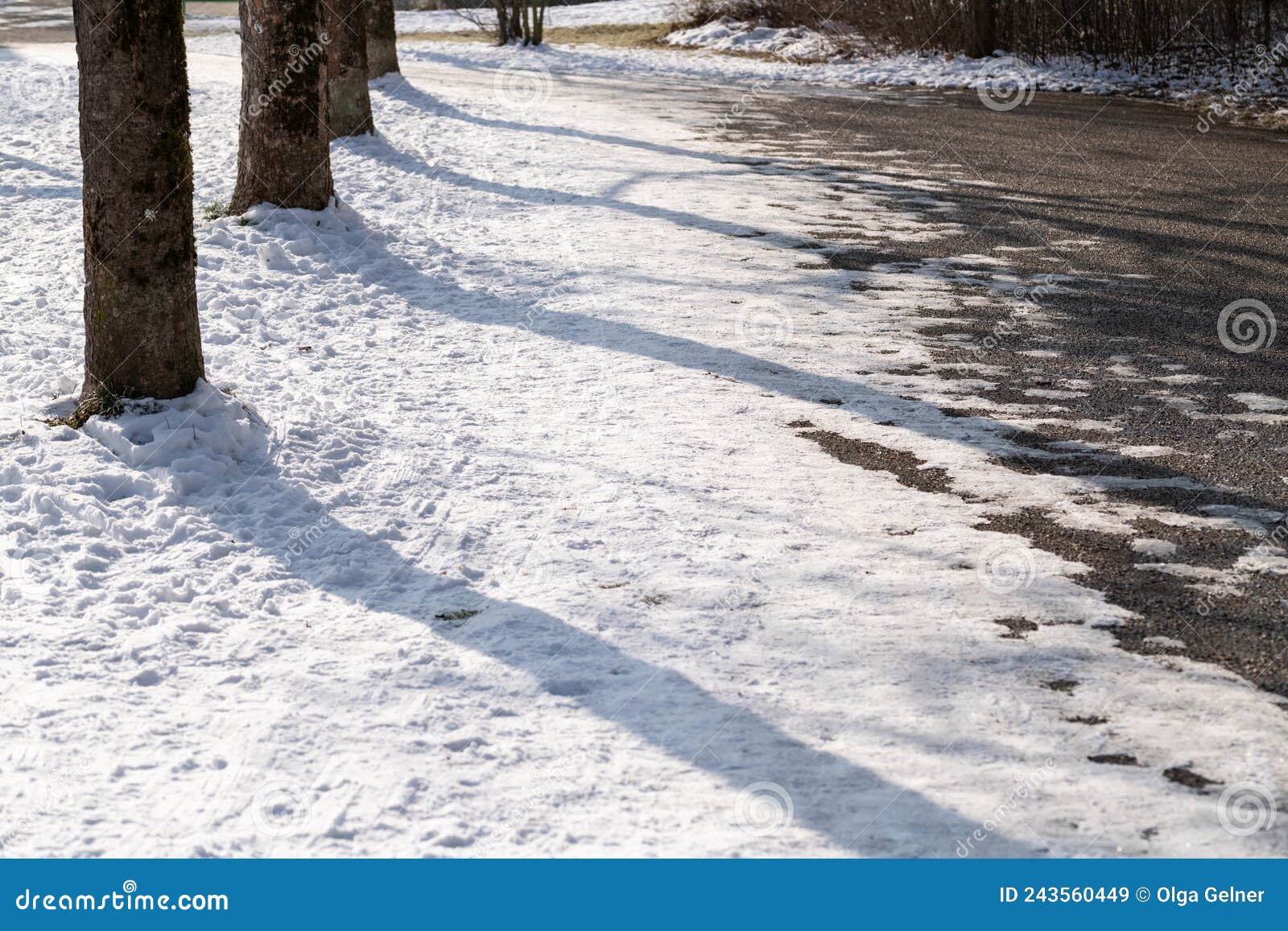 Tree Shadow on the Snow stock image. Image of daylight - 243560449