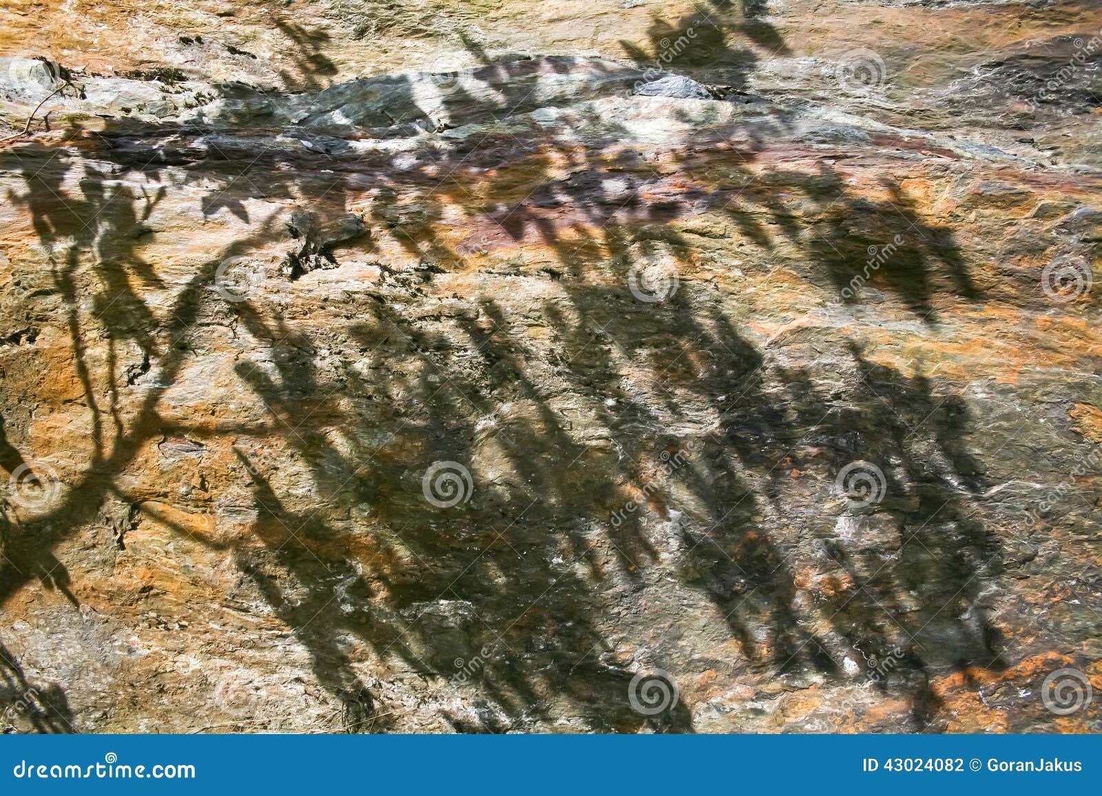 Tree Shadow on Stone Ground Stock Photo - Image of detail, outdoors ...