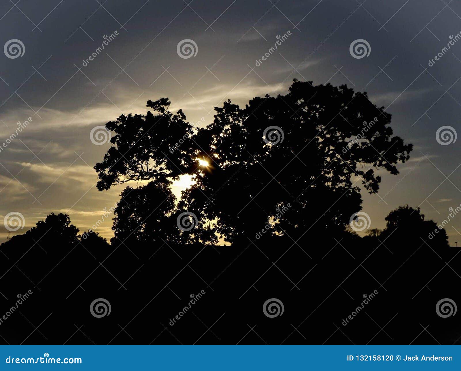 Tree shadow stock photo. Image of light, nature, tree - 132158120