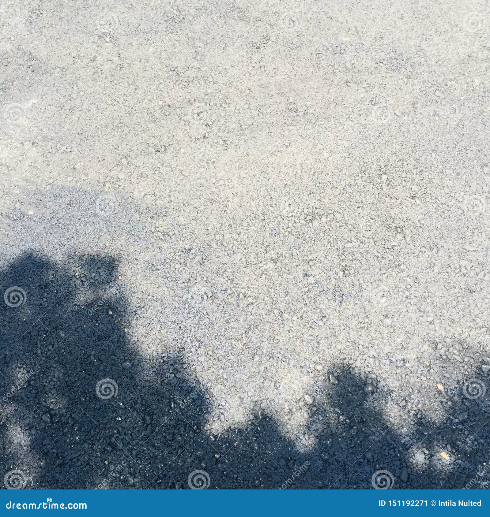 Tree Shadow Sunlight View Nature Background Stock Image - Image of ...