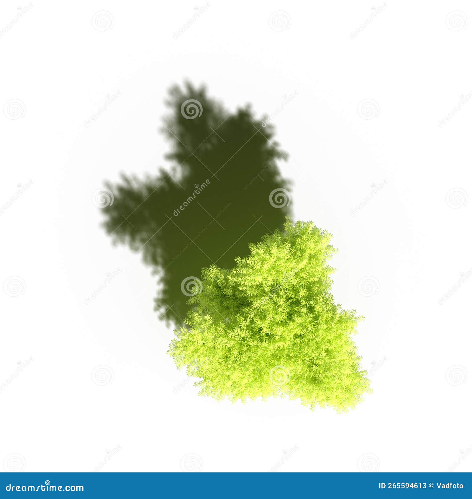 Tree with a Shadow Under it, Top View Stock Illustration - Illustration ...