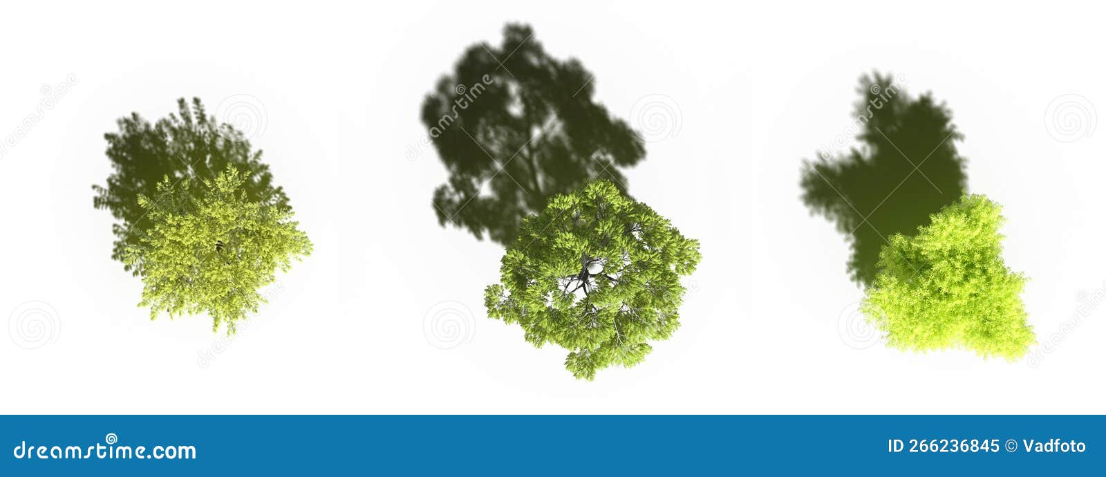 Tree with a Shadow Under it, Top View Stock Illustration - Illustration ...