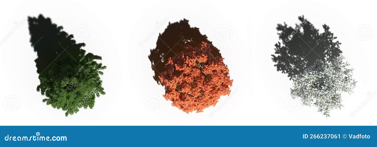 Tree with a Shadow Under it, Top View Stock Illustration - Illustration ...