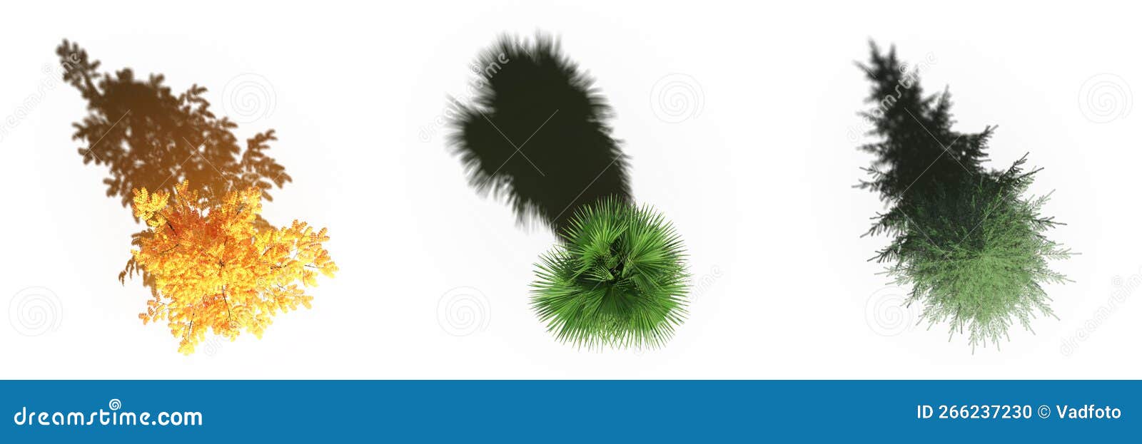Tree with a Shadow Under it, Top View Stock Illustration - Illustration ...