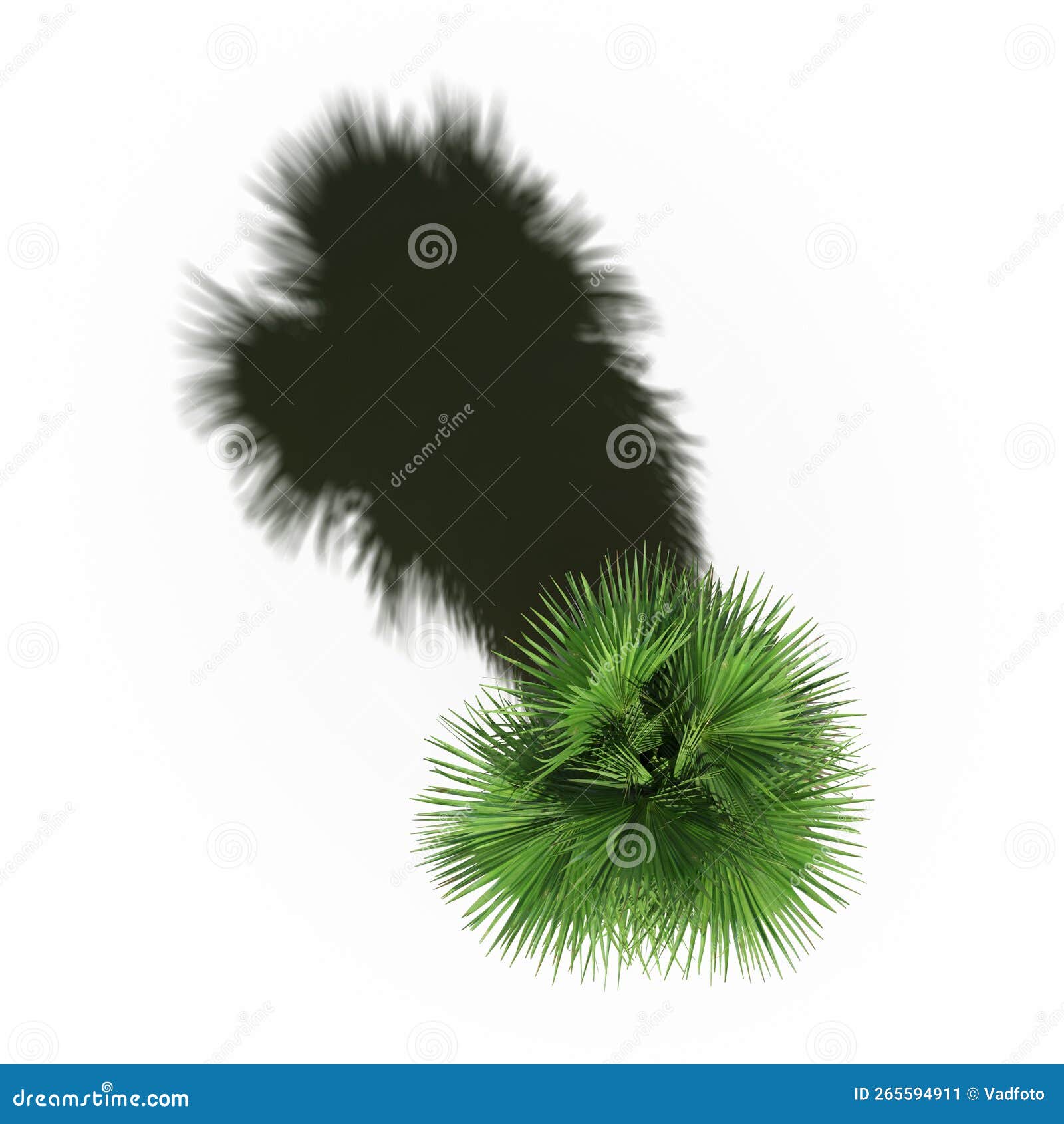 Tree with a Shadow Under it, Top View Stock Illustration - Illustration ...