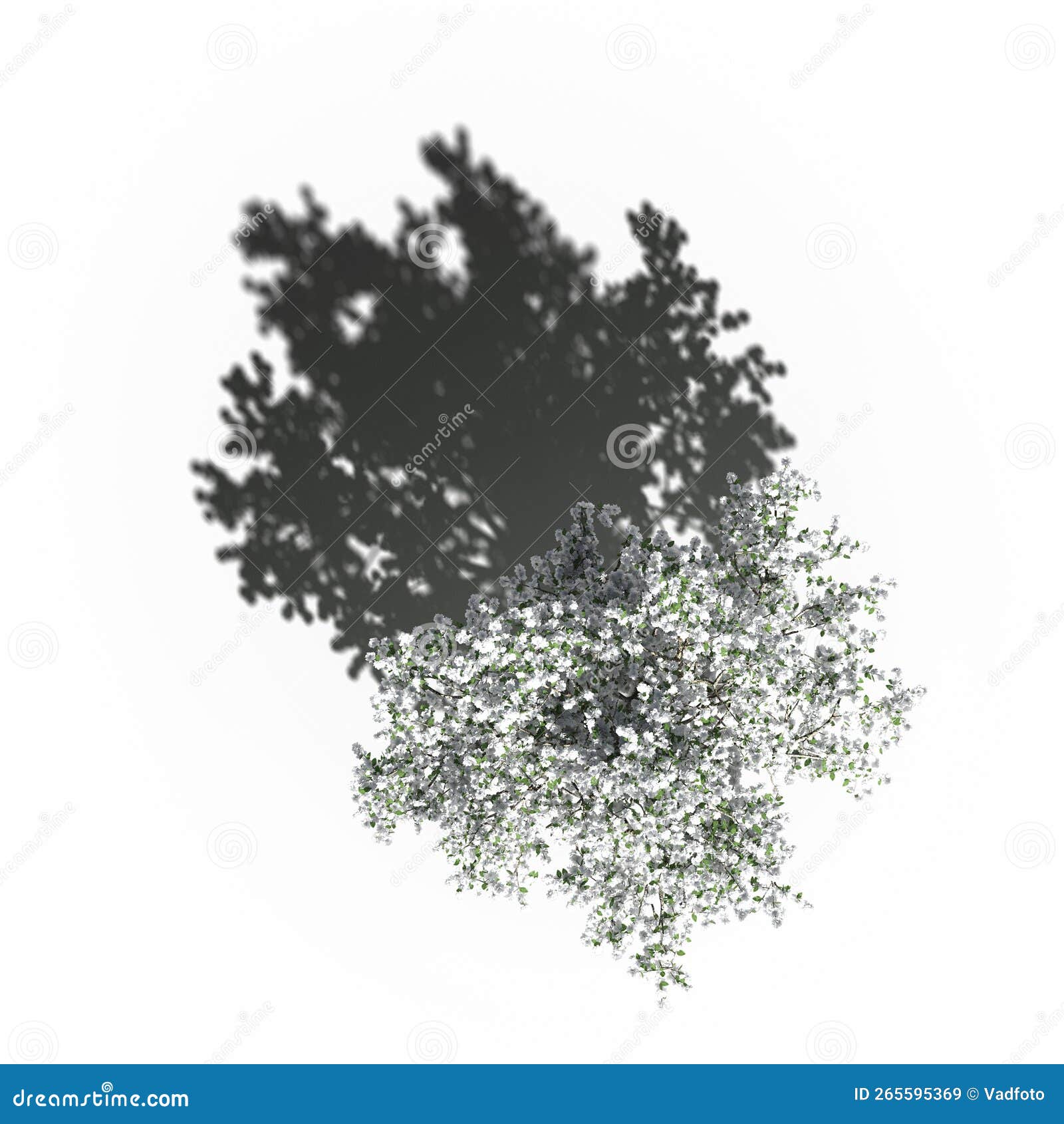 Tree with a Shadow Under it, Top View Stock Illustration - Illustration ...